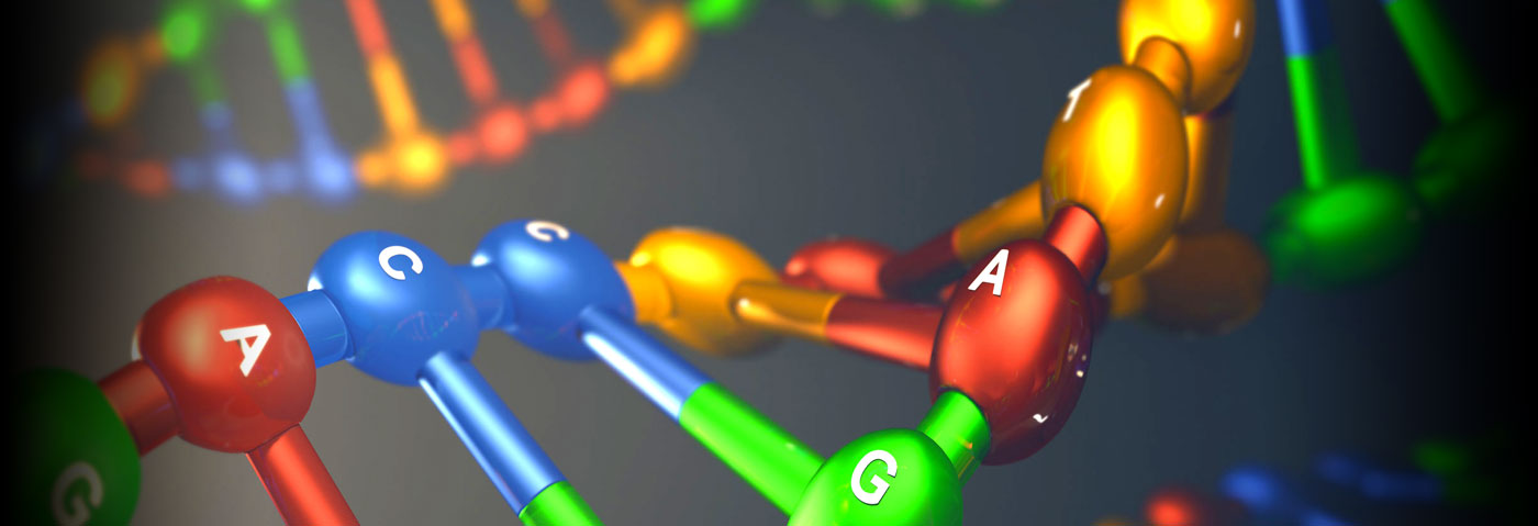 San Diego Supercomputer Center